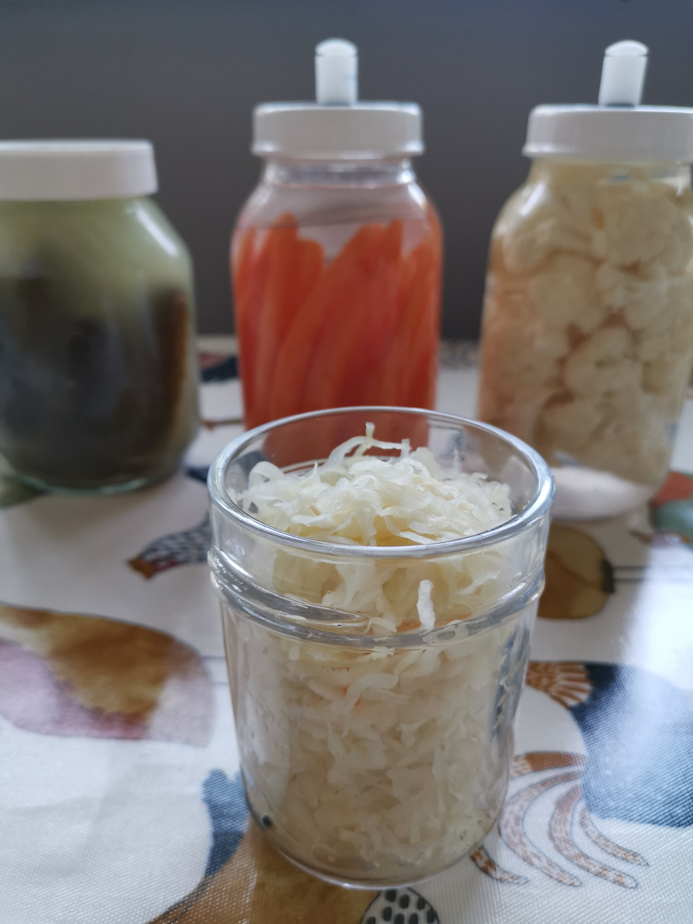 Introduction to fermentation. – Mishmash Health